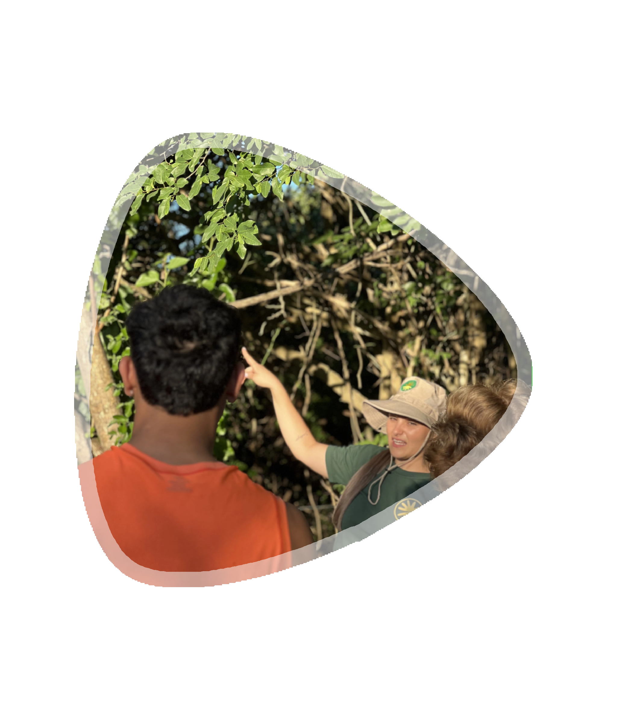 Servicios - PARQUE GUADALUPE